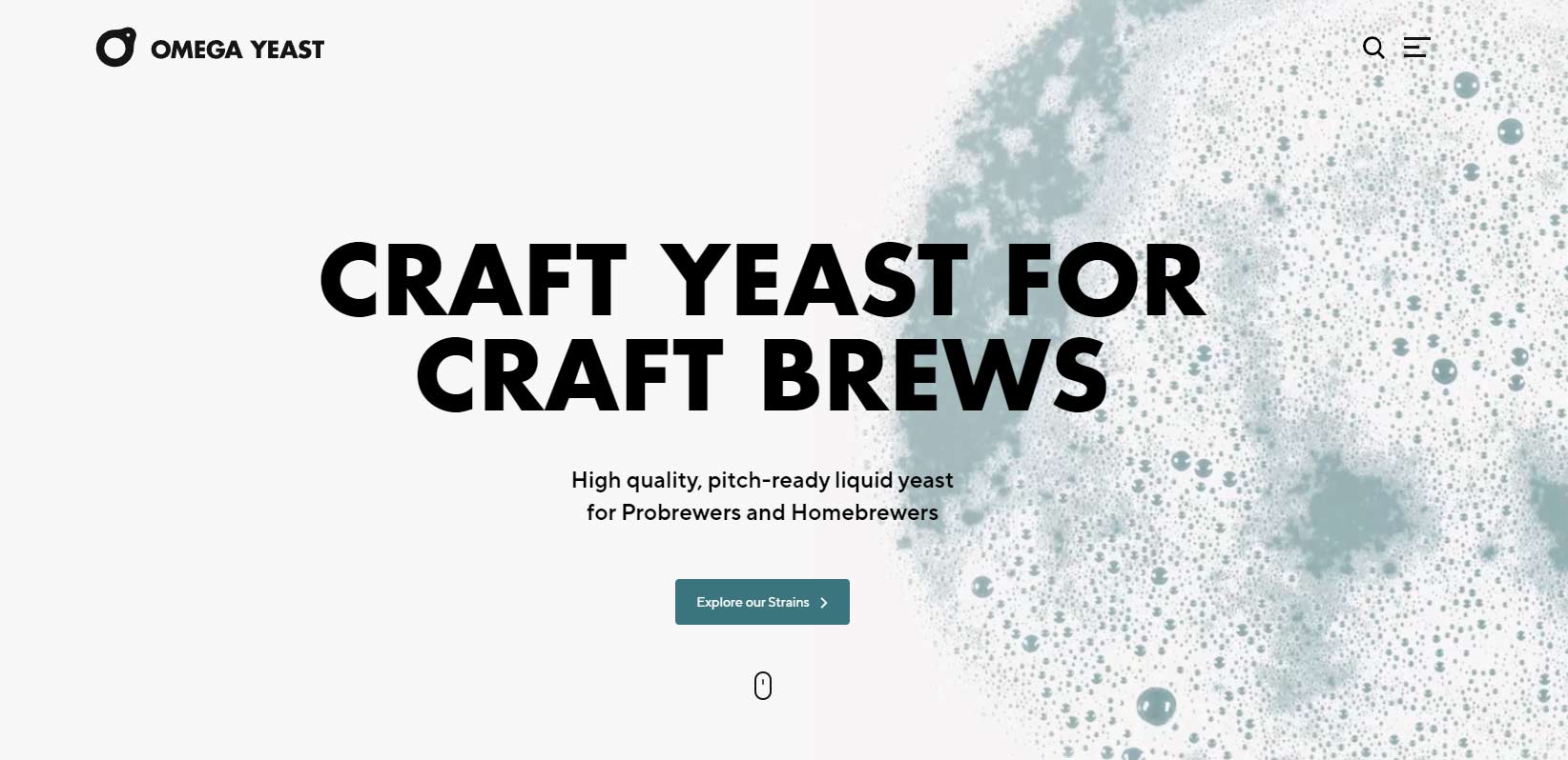 25 Trendy Website Color Schemes For 2022